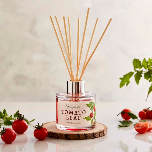 Wax Lyrical Home Grown 100ml Tomato Leaf Diffuser - Home Store + More