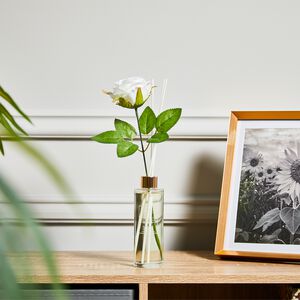 Reed Diffusers - Home Store + More