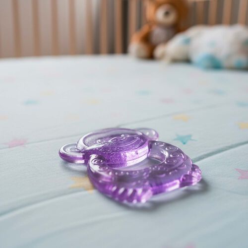 First Steps Water Filled Baby Teether - Home Store + More