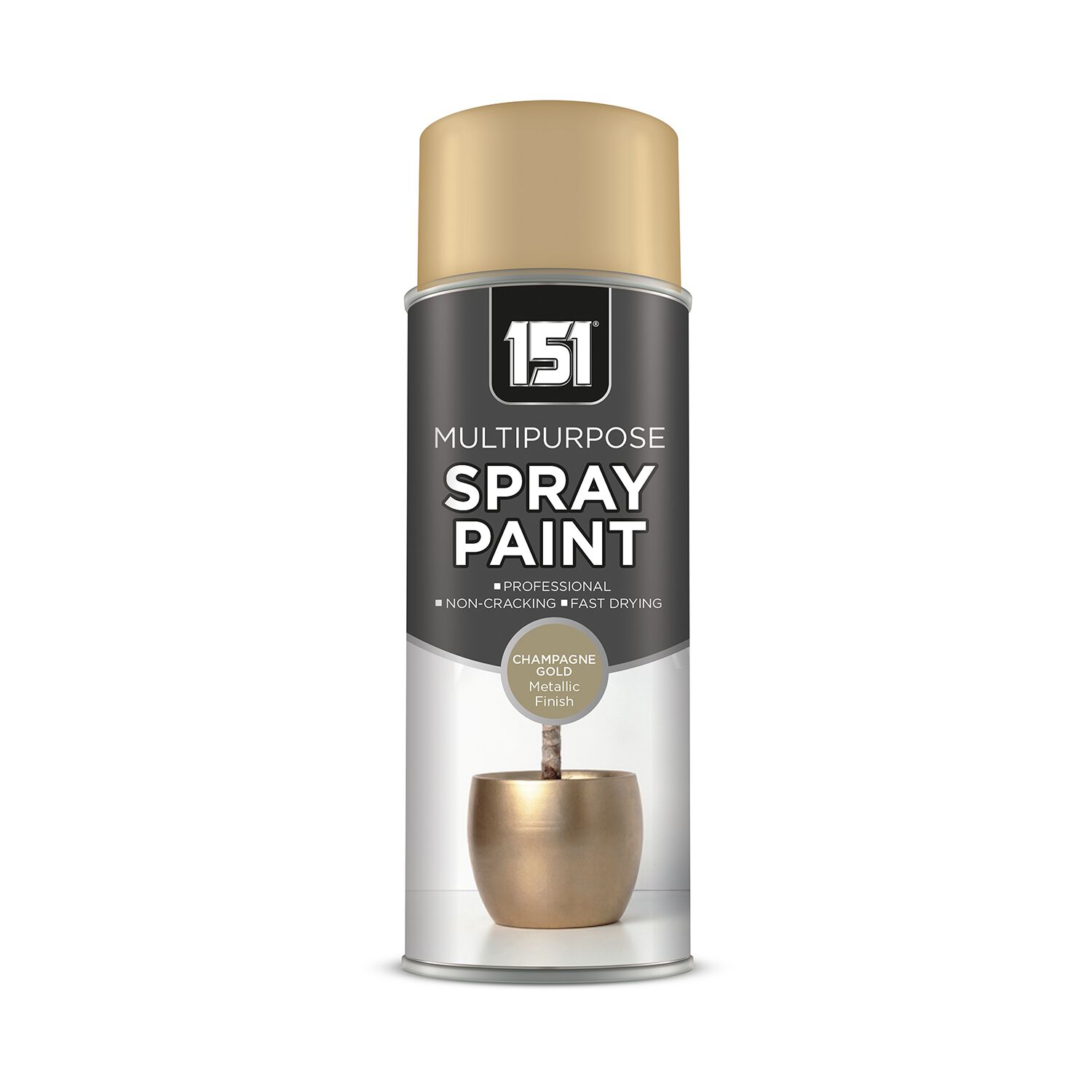Metallic Gloss Champagne Spray Paint - Home Store + More