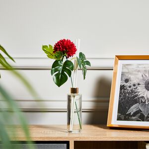 Reed Diffusers - Home Store + More