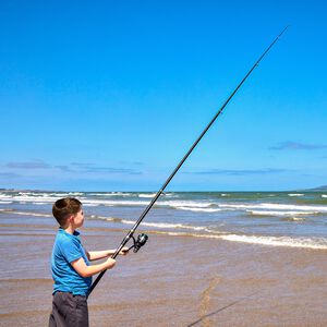 Wetsuits, Summer Toys & Fishing - Home Store + More