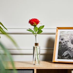 Reed Diffusers - Home Store + More