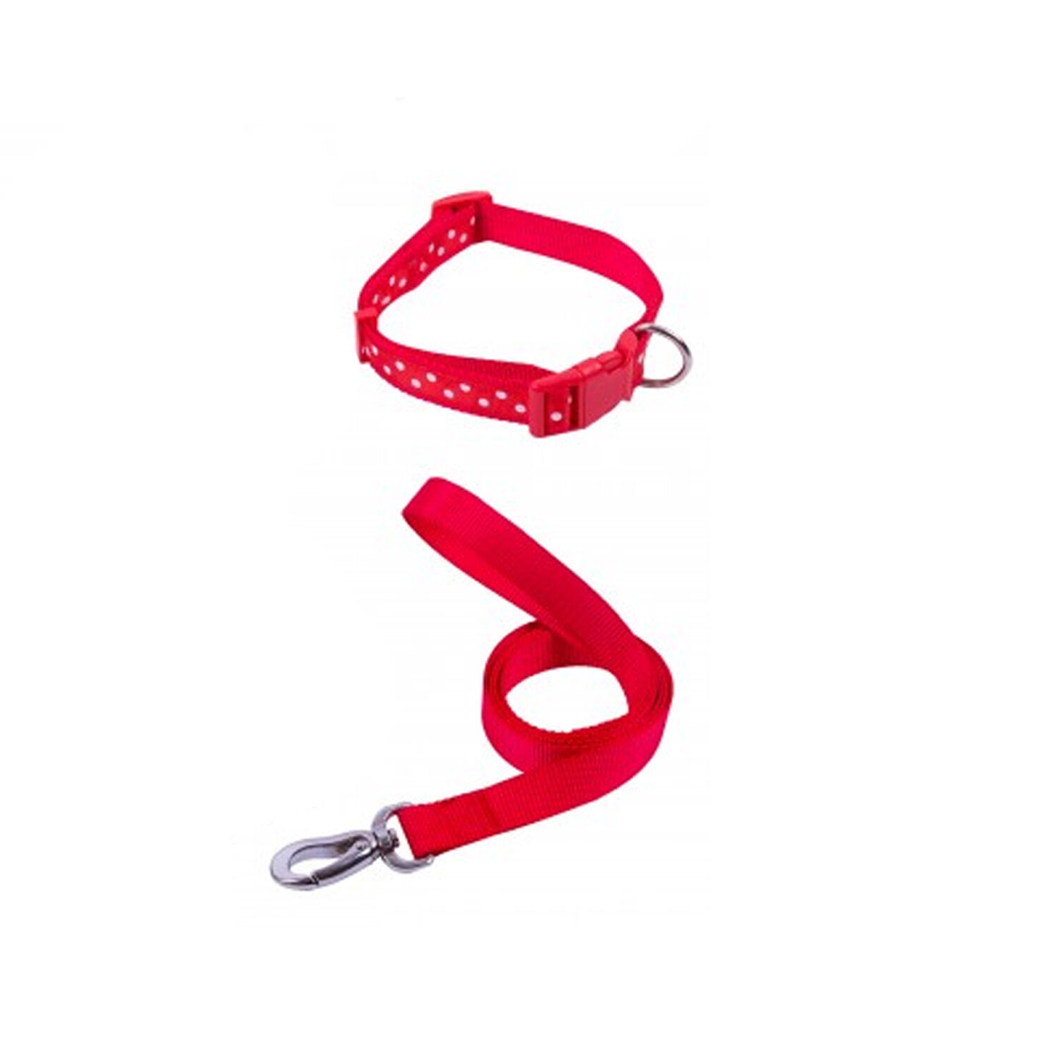 Collar & leash store
