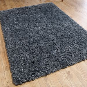 Rugs & Carpet Runners - Home Store + More