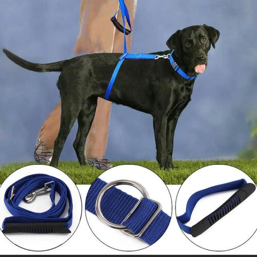 Pet Instant Trainer Leash - Home Store + More