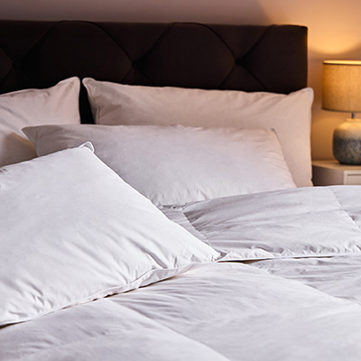 Home Store + More | Bedding, Curtains, Kitchen, Cookware + More - Home ...