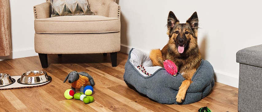 Home Store + More | Bedding, Curtains, Kitchen, Cookware + More - Home ...